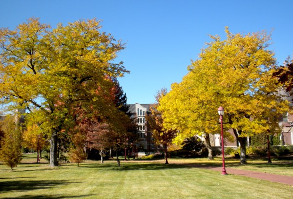 University of Denver, which likes to boast of “celebrating diversity ...